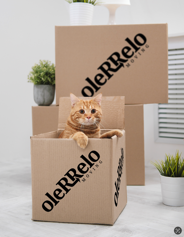 Contact Us - Oler Relo Mayflower